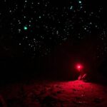 Sydney: Blue Mountains Glow Worms Wild Adventure by Night - Who is This Tour Perfect For?