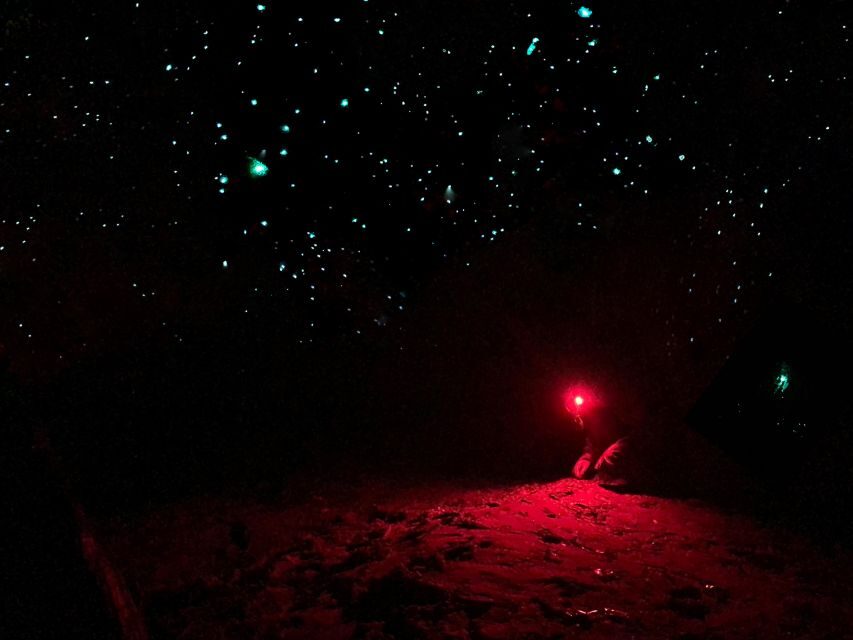 Sydney: Blue Mountains Glow Worms Wild Adventure by Night - Who is This Tour Perfect For?
