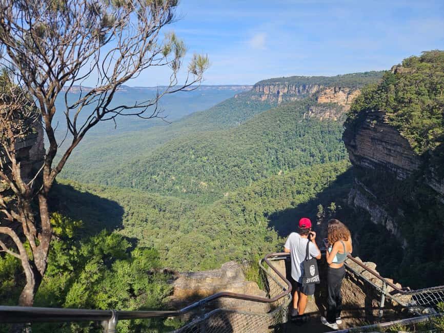 Sydney: Blue Mountains Guided Hike with Lunch & Pickup - An Introduction to the Blue Mountains Guided Hike