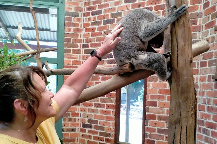 Sydney: Blue Mountains Late Start, Walks Waterfalls & Koalas - Why This Tour Works
