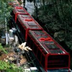 Sydney: Blue Mountains, Scenic World, and Sydney Zoo Tour - The Verdict on Value and Practicality