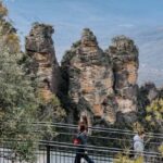 Sydney: Blue Mountains Scenic World, Wildlife Park and Lunch - The Itinerary Breakdown