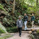 Sydney: Blue Mountains Tour with Wildlife Park & Waterfalls - What Makes This Tour Stand Out?