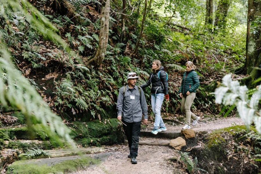 Sydney: Blue Mountains Tour with Wildlife Park & Waterfalls - What Makes This Tour Stand Out?