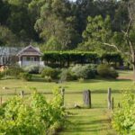 Sydney: Chef-Led Hunter Valley Food & Wine Tour - A Deep Dive into the Experience
