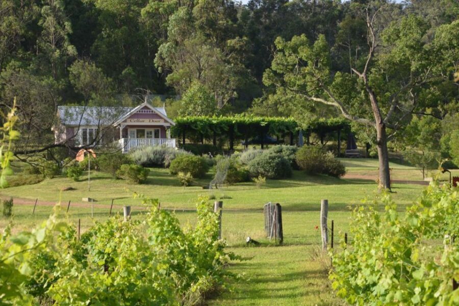 Sydney: Chef-Led Hunter Valley Food & Wine Tour - A Deep Dive into the Experience
