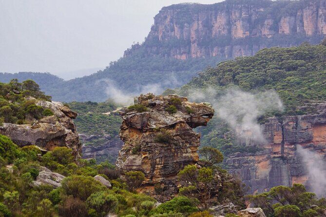Sydney City and Blue Mountains in One Day Private Tour - The Transport and Logistics