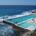 Sydney Combo: Morning Sightseeing to Bondi & Harbour Lunch Cruise - What Travelers Are Saying: Authentic Insights from Reviews