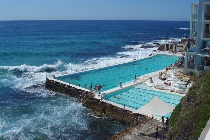 Sydney Combo: Morning Sightseeing to Bondi & Harbour Lunch Cruise - What Travelers Are Saying: Authentic Insights from Reviews