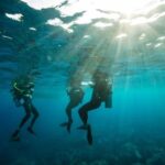 Sydney: Discover Scuba Dive at Australia's most Iconic Beach - An In-Depth Look at the Sydney Discover Scuba Experience