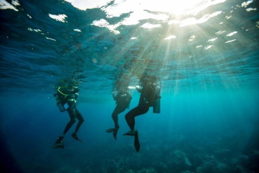 Sydney: Discover Scuba Dive at Australia's most Iconic Beach - An In-Depth Look at the Sydney Discover Scuba Experience