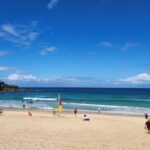 Sydney East Coast Tour (Private) - What to Expect from the Sydney East Coast Tour