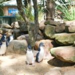 Sydney: Featherdale Wildlife Park Private Tour - Who Will Love This Tour?