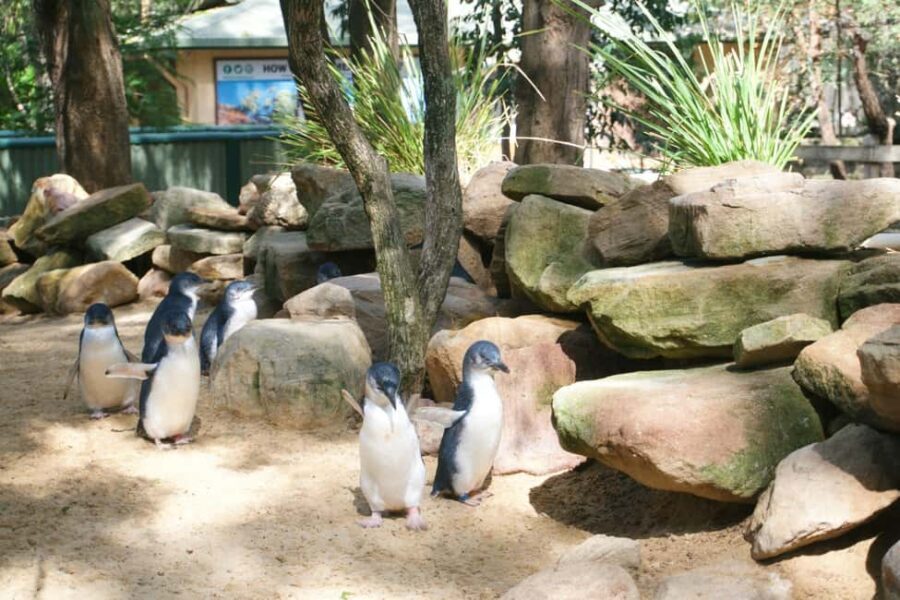Sydney: Featherdale Wildlife Park Private Tour - Who Will Love This Tour?