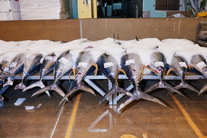 Sydney Fish Market Behind the Scenes Walking Tour - The Sum Up: Who Should Book This Tour?