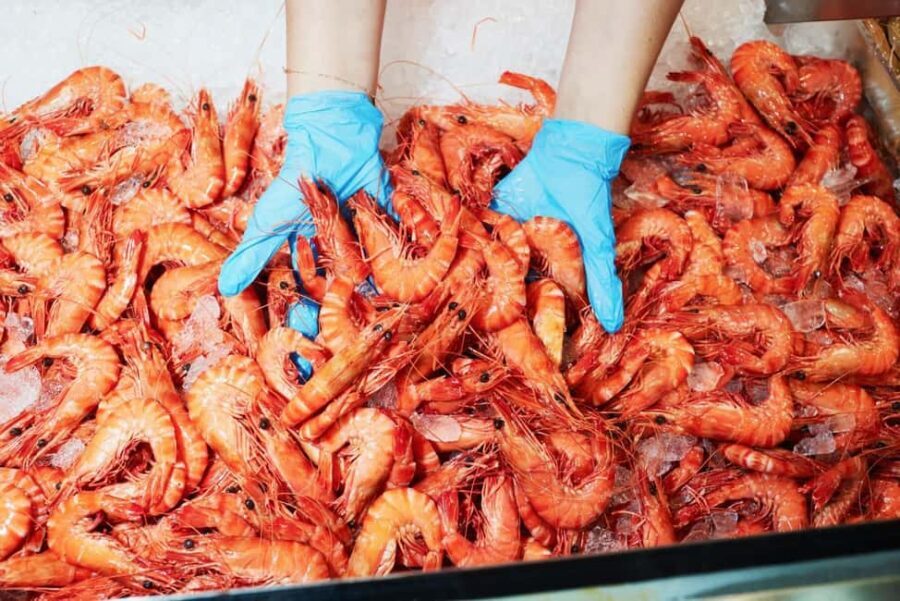 Sydney: Fish Market Food Tour - What Makes This Tour Special?