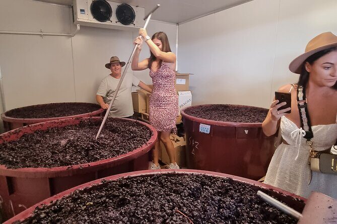 Sydney Grains and Grapes Hunter Valley Wine and Beer with Lunch - Frequently Asked Questions