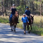 Sydney: Guided 2-Hour Horseback Picnic Tour - What Travelers Are Saying