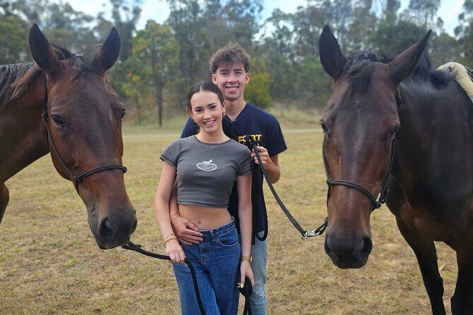 Sydney Guided Horse Ride Picnic - The Itinerary: What to Expect Step-by-Step