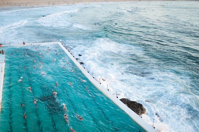 Sydney Half-Day Private Tour | Beaches, History & Icons - What Travelers Say