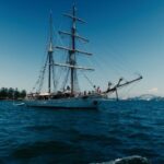 Sydney: Harbor Sunset Cruise with Dinner - What to Expect During the Cruise
