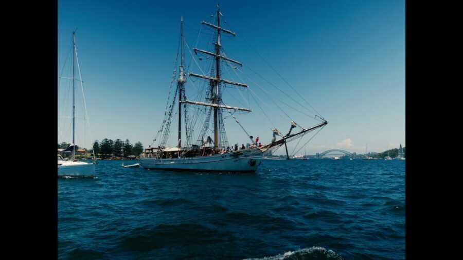 Sydney: Harbor Sunset Cruise with Dinner - What to Expect During the Cruise