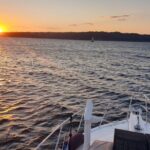 Sydney Harbour Discovery Dinner Cruise Scenic Sights and Buffet - Who Will Love This Cruise?