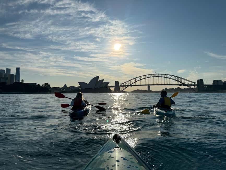 Sydney: Harbour Sunrise Kayak Tour - Authentic Feedback from Past Participants
