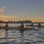 Sydney Harbour Sunset Dinner Paddle - Who Will Love This Experience?