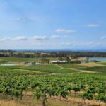 Sydney Hunter Valley Tour - The Itinerary: An In-Depth Look