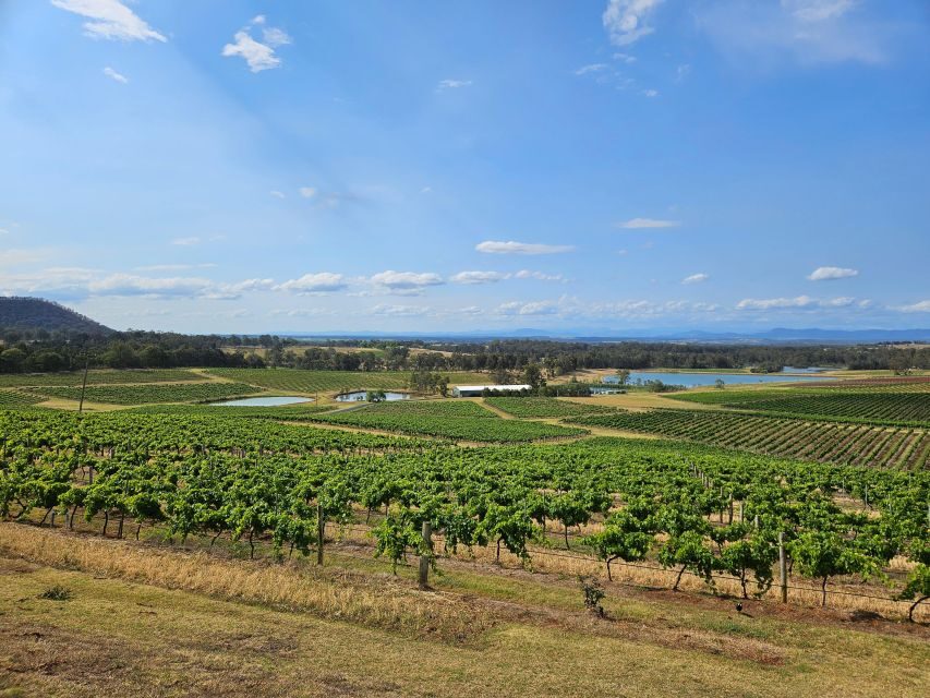 Sydney Hunter Valley Tour (Private) - What You Can Expect from the Hunter Valley Tour