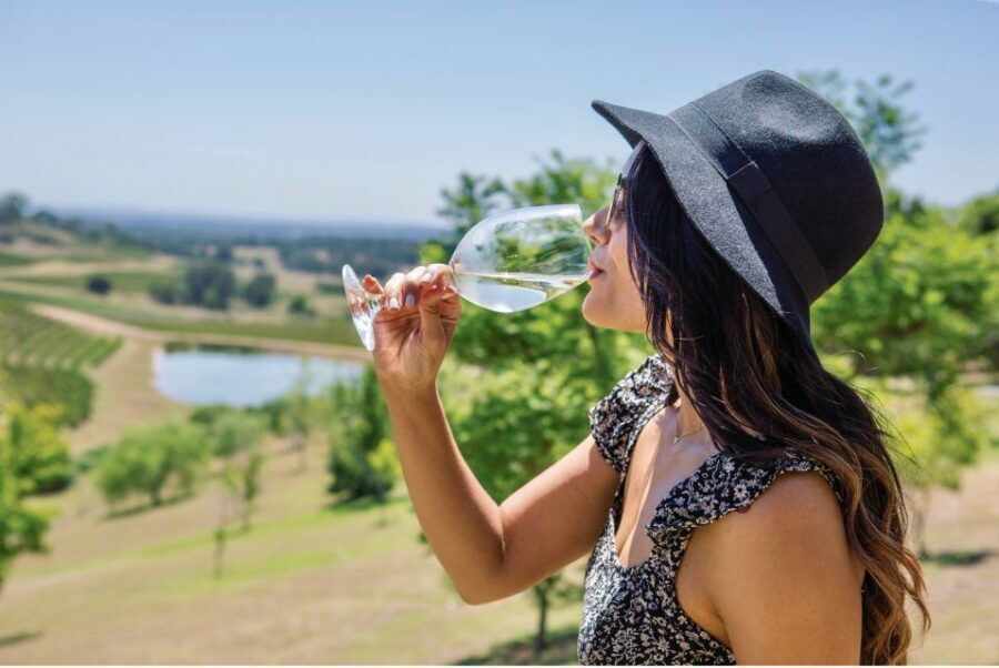 Sydney: Hunter Valley Wineries Day Trip with Food Tastings - The Realities from Reviews