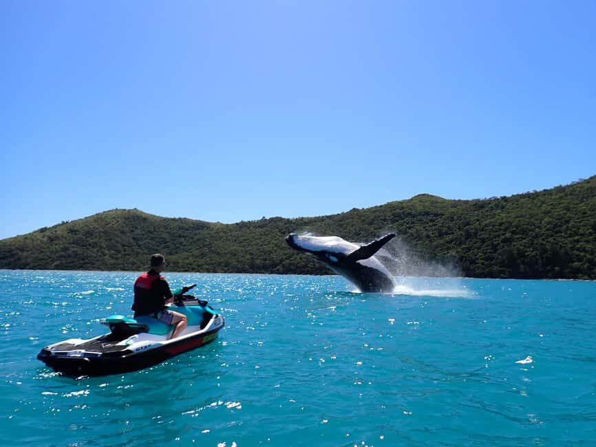 Sydney: Jet Ski Rental with Snorkeling Gear - Exploring the Itinerary: What’s in Store
