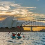 Sydney LED Lit Kayak Tour of the Opera House and Bridge - A Closer Look at the Sydney LED Lit Kayak Experience