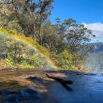 Sydney: Luxury Blue Mountains Adventure as a Small Group Day Tour - Key Points
