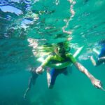 Sydney: Manly and Shelly Beach Snorkeling Tour - Value for Money and Practical Considerations