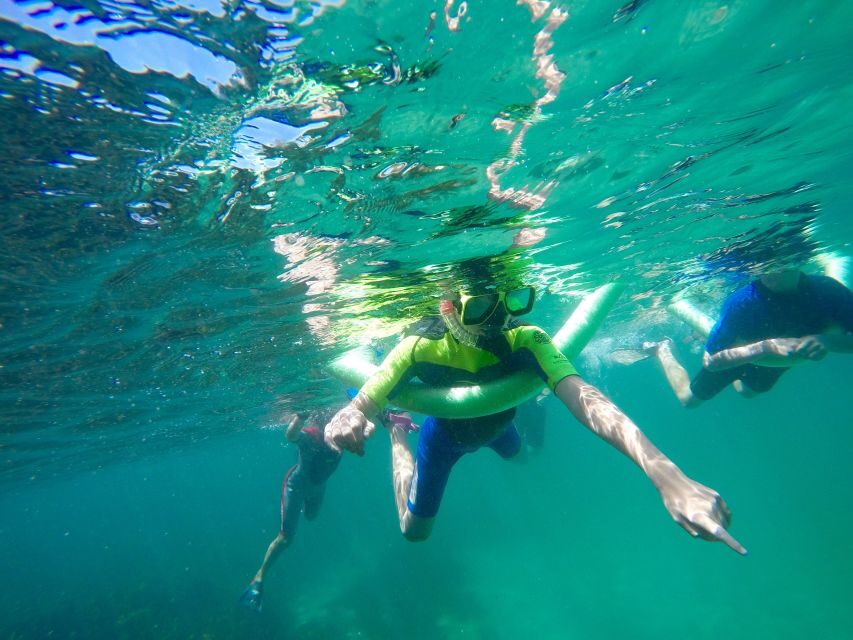 Sydney: Manly and Shelly Beach Snorkeling Tour - Value for Money and Practical Considerations