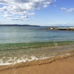 Sydney: Northern Beaches and Ku-ring-gai National Park Tour - Itinerary Breakdown: What You’ll See and Do