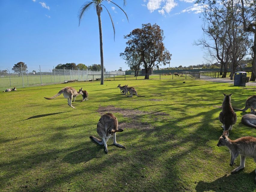 Sydney Port stephens - Detailed Breakdown of the Itinerary