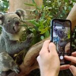 Sydney: Private Blue Mountains, Waterfalls, Walks & Meals - Pricing and Value Analysis