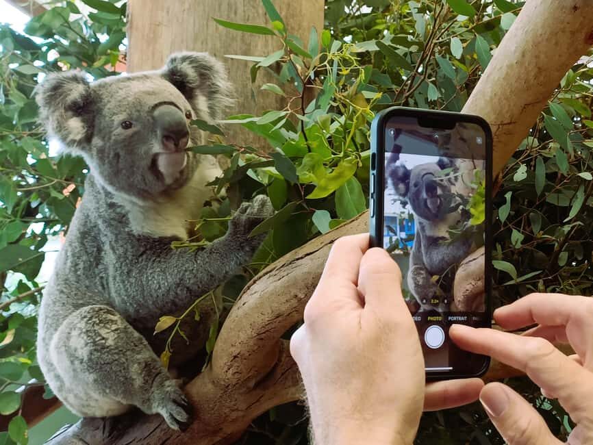 Sydney: Private Blue Mountains, Waterfalls, Walks & Meals - Pricing and Value Analysis