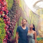 Sydney Private Tour - Pick up & Drop off - The Experience from a Traveler’s Perspective