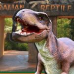 Sydney: Reptile Park and Avoca Beach Day Trip with Entry - Is This Tour Worth the Price?