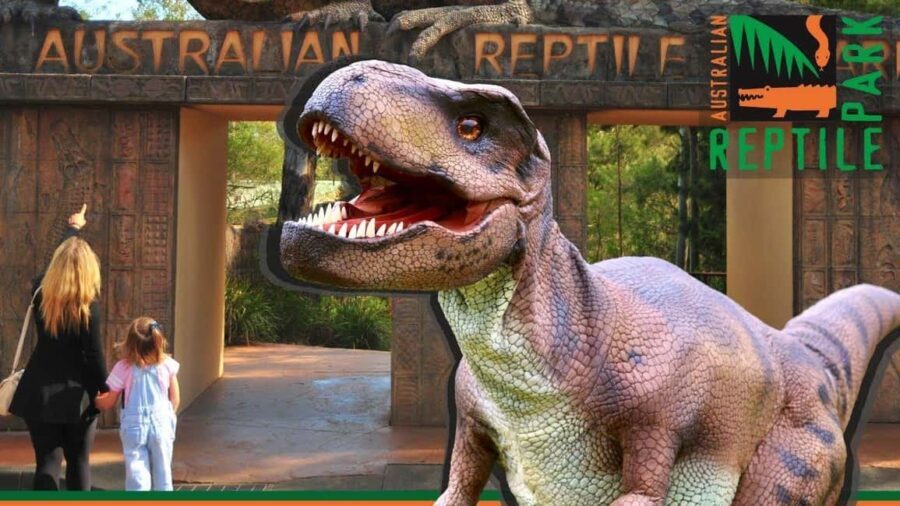 Sydney: Reptile Park and Avoca Beach Day Trip with Entry - Is This Tour Worth the Price?