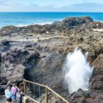 Sydney: Sea Cliff Bridge, Kiama Blowhole and Farmlands Tour - The Experience of a Guide and Group Size