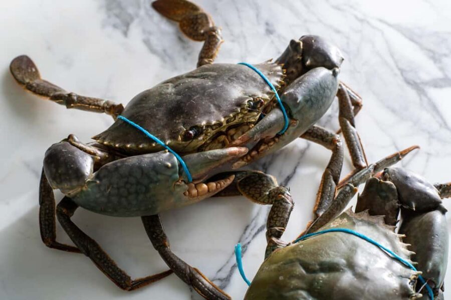 Sydney: Singapore Chilli Mud Crab Cooking Class - Why This Experience Stands Out