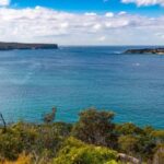 Sydney: Taronga to Balmoral Walk with picnic at Balmoral - Practical Details: What to Know Before You Go