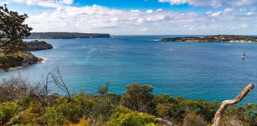 Sydney: Taronga to Balmoral Walk with picnic at Balmoral - Practical Details: What to Know Before You Go