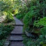 Sydney: Taronga zoo to Balmoral Walk with Ala carte Lunch - The Value of the Experience