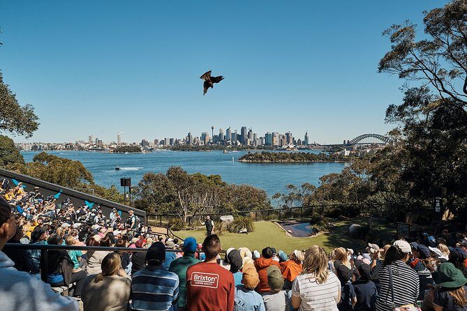 Sydney Taronga Zoo's Aussie Backyard Adventure Tour - What’s Included and What’s Not